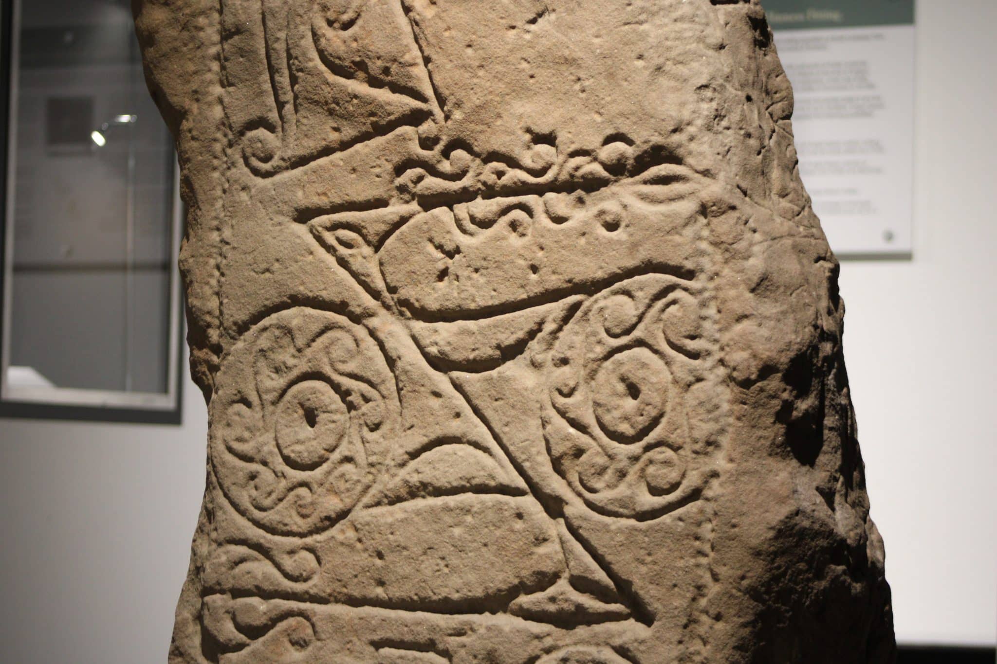 Meffan Museum and Art Gallery • ANGUSalive