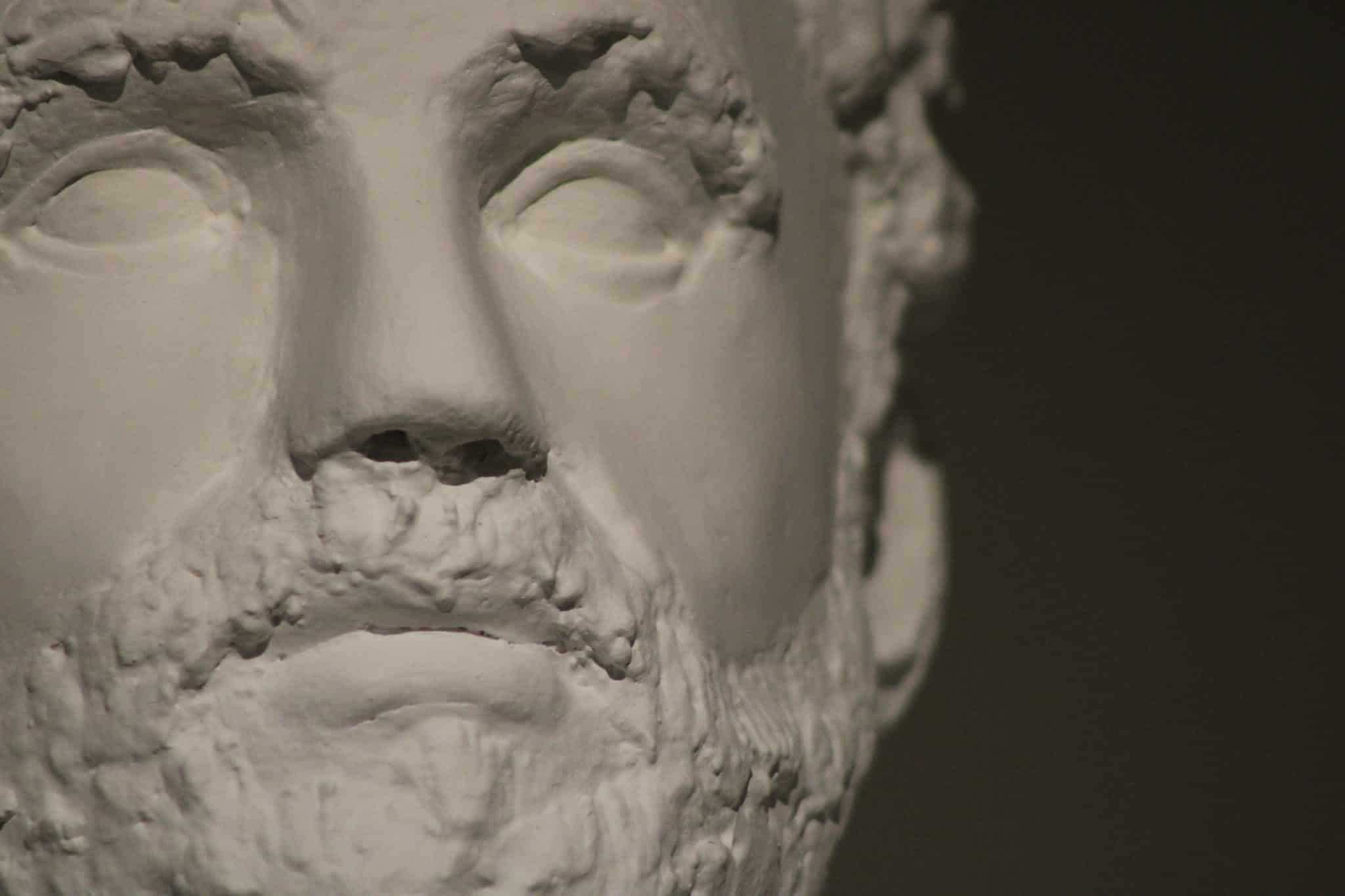 Meffan Museum and Art Gallery • ANGUSalive