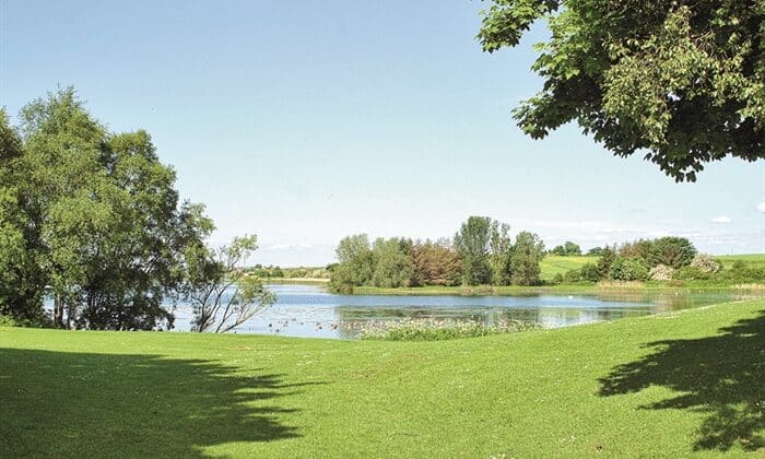 ANGUSalive's Wildlife Detective Series Continues: Get Ready for More ...