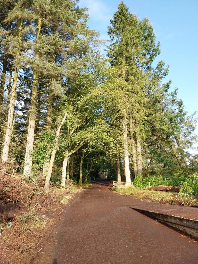 Monikie and Crombie Parks: Fallen Tree Clearance Work Complete • ANGUSalive