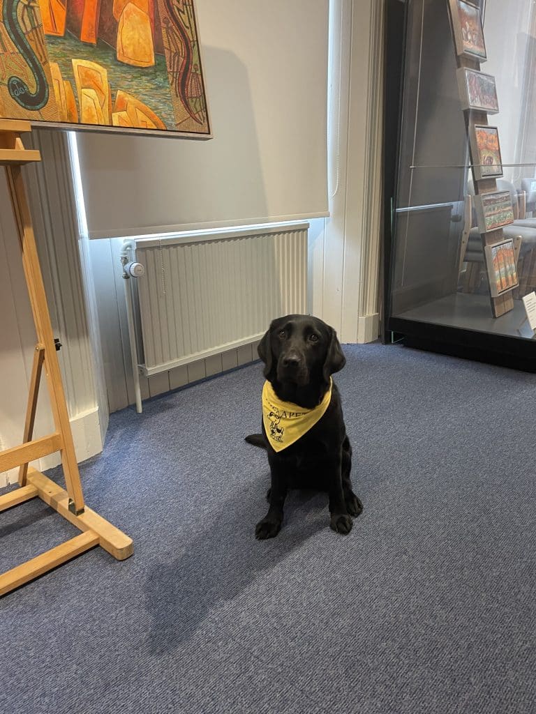 Inspire a creative streak and warm your heart at Museums in Angus this ...