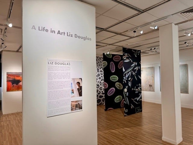 Liz Douglas - A Life in Art • ANGUSalive