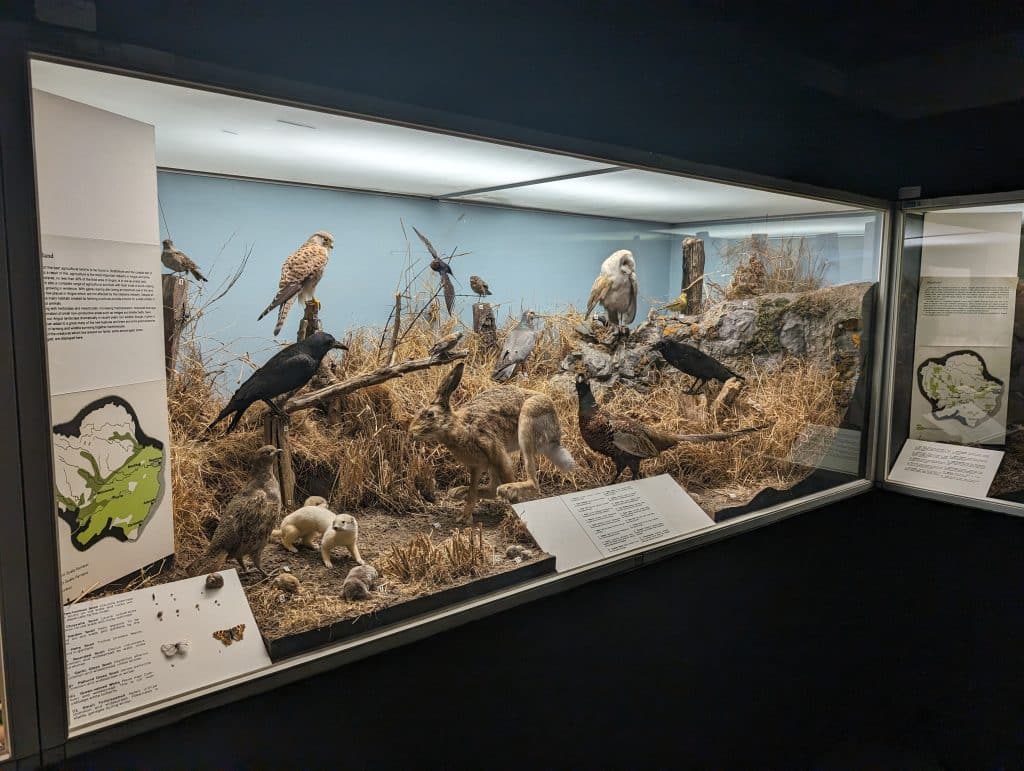 Funding boost for Montrose Natural History project • ANGUSalive