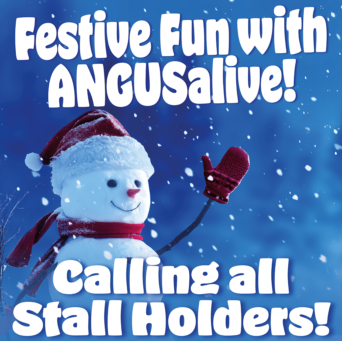 Call for Stallholders: Festive Fun Events at Signal Tower Museum ...
