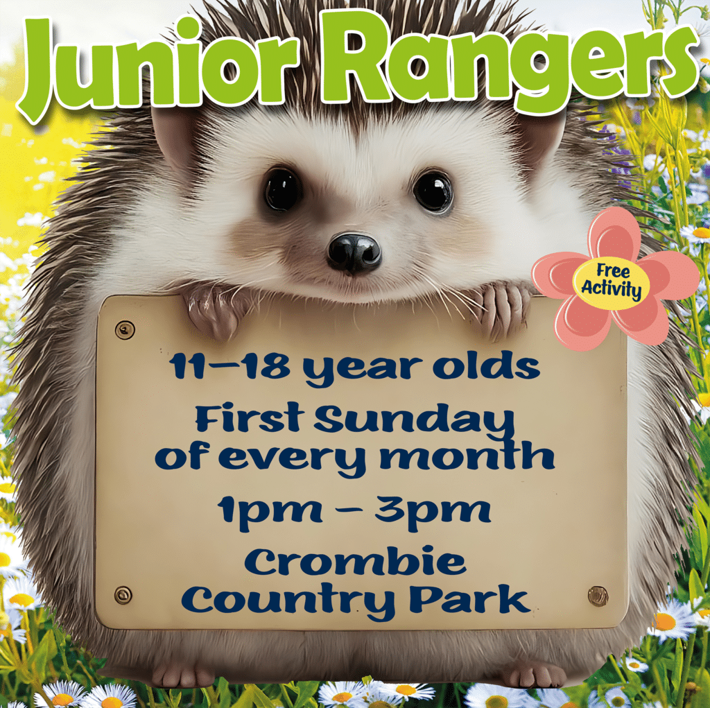 Junior Rangers • ANGUSalive