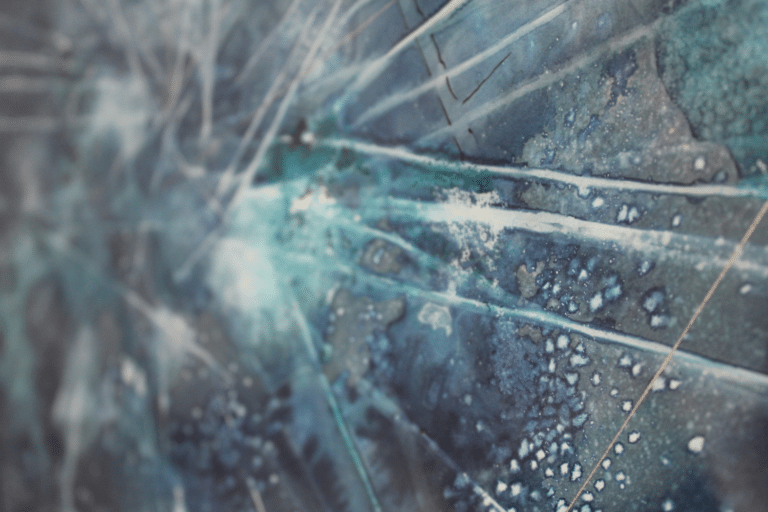 Meffan Winter Show • ANGUSalive