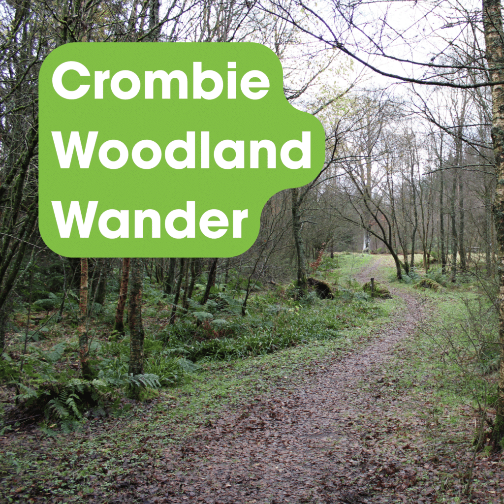 Crombie Woodland Wander • ANGUSalive