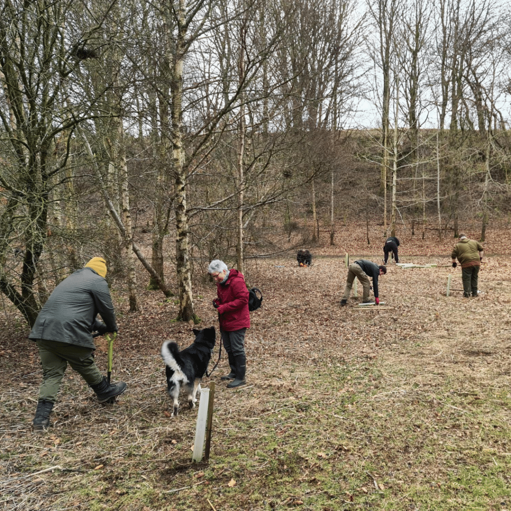 Countryside Rangers • ANGUSalive